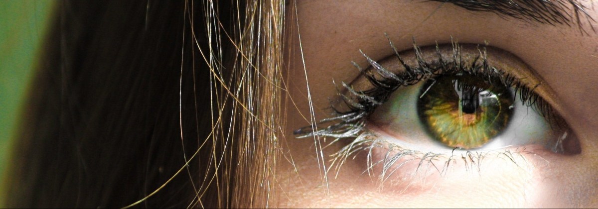 Monocular Vision Loss – Raven Neurology Review